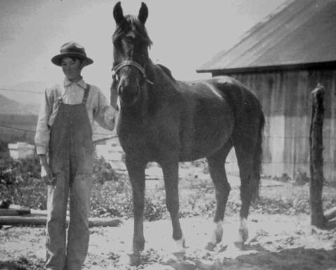 Allen Bolton - Niwot Historical Society